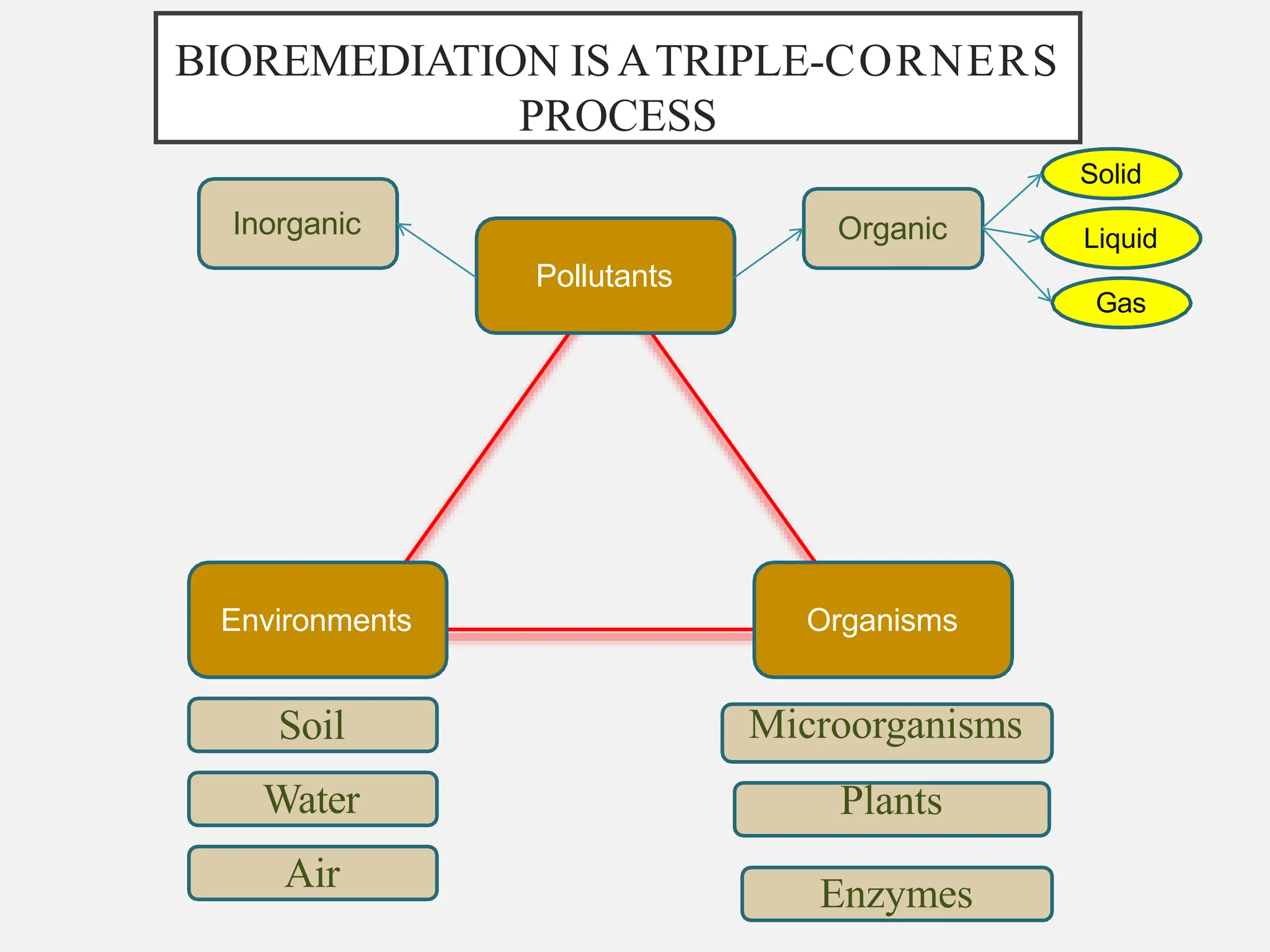 bioremediation_microbial remediationppt.pptx | Indoor Environmental Quality | Home & Garden