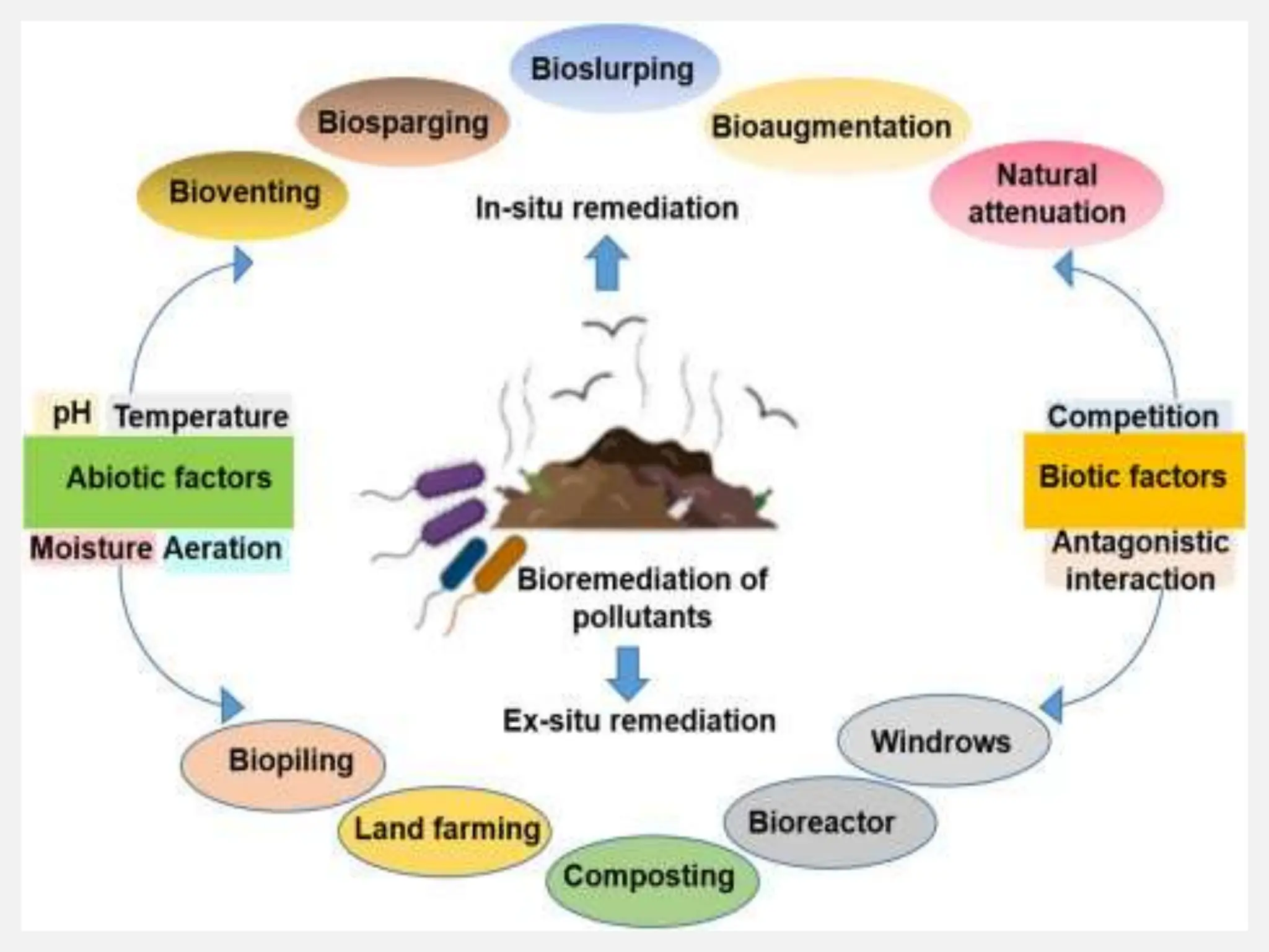 bioremediation_microbial remediationppt.pptx | Indoor Environmental Quality | Home & Garden