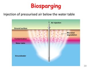 Bioremediation ppt FINAL 005.pptx