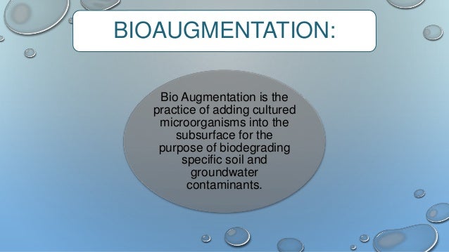 Biostimulation And Bioaugmentation In The Remediatin Of Oil Spills