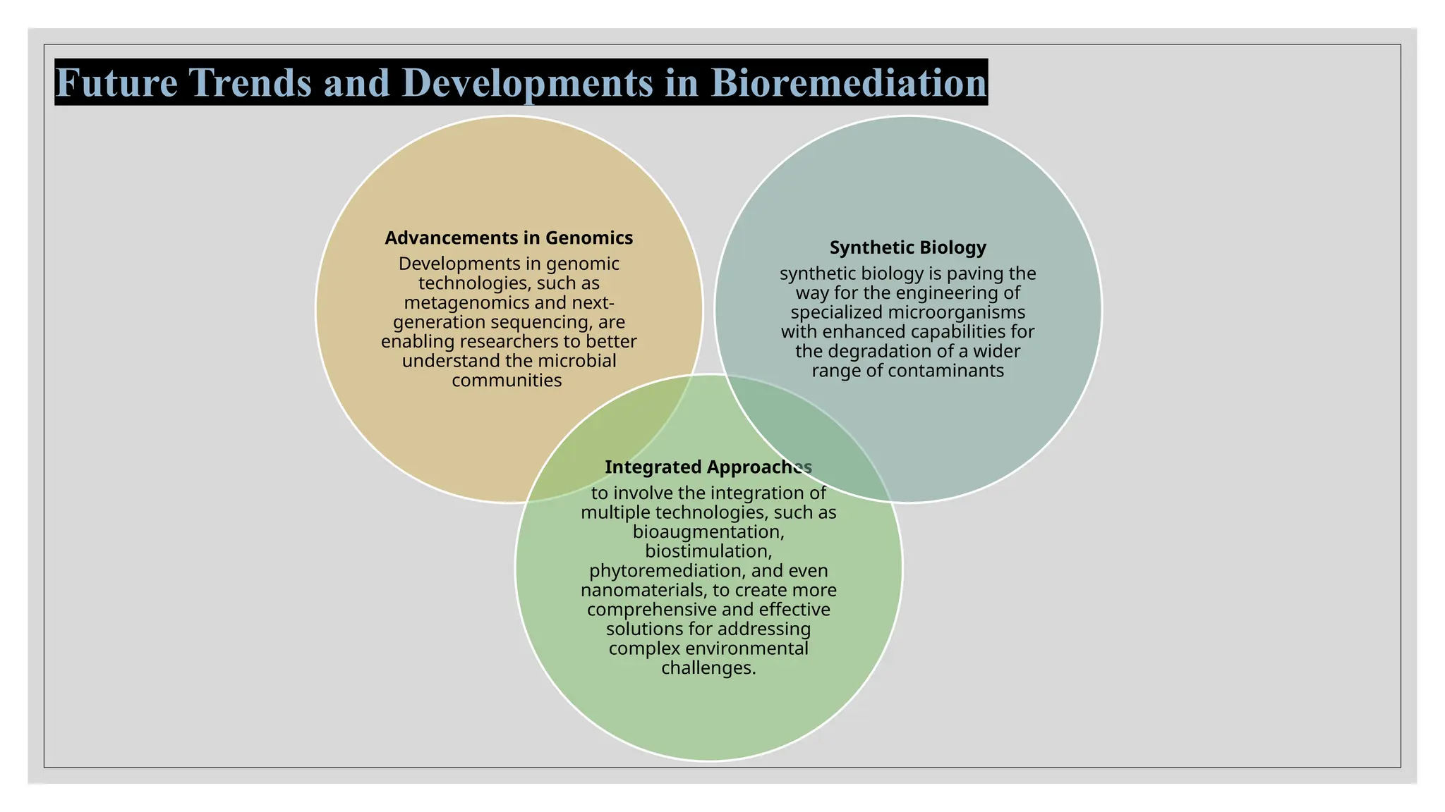 Bioremediation Process / environmental science | PPTX