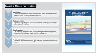 Bioremediation Process / environmental science | PPTX