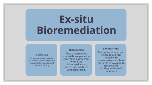 Bioremediation Process / environmental science | PPTX
