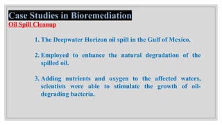 Bioremediation Process / environmental science | PPTX
