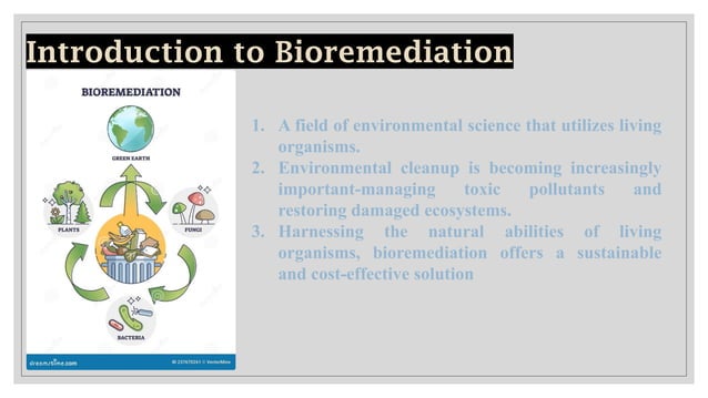Bioremediation Process / environmental science | PPTX