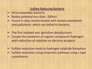 Bioremediation of heavy metals using Fe(III),SULPHATE AND SULPHUR ...