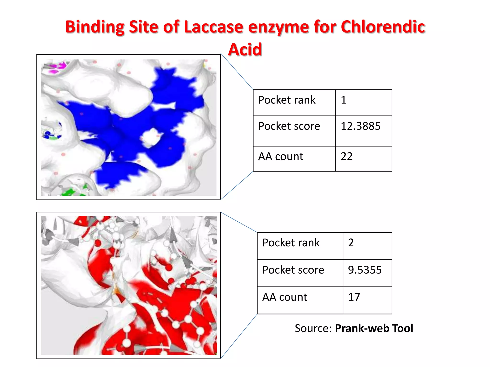 Bioremidation of xenobiotic compound | PPT