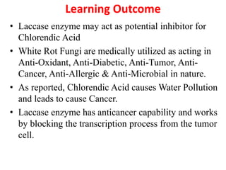 Bioremidation of xenobiotic compound | PPTX