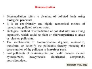 Bioremidiation of the polluted soil.pptx