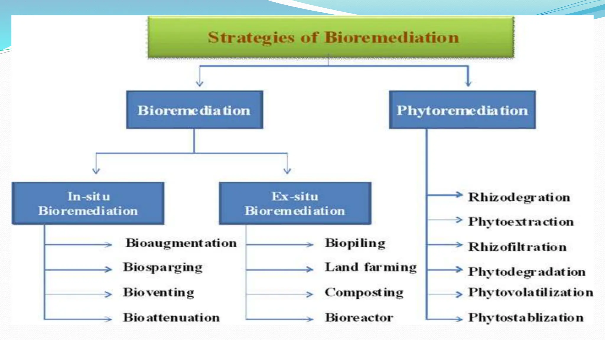 Review on bioremediation/biodegradation.pptx