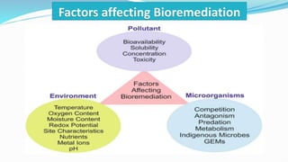 Review on bioremediation/biodegradation.pptx