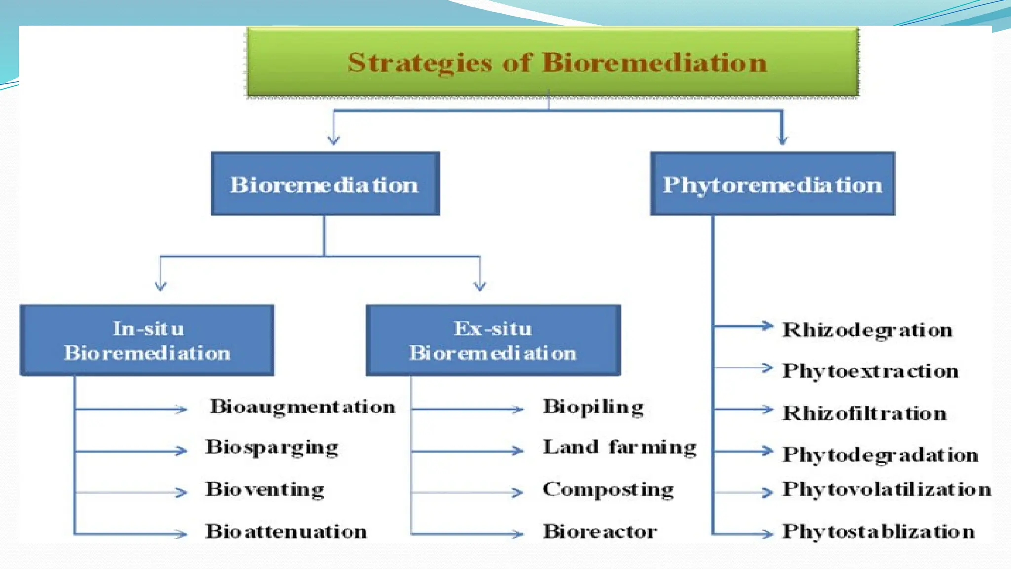 bioremEDIATION_PROCESS AND TYPES pres.pptx