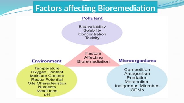 bioremEDIATION_PROCESS AND TYPES pres.pptx