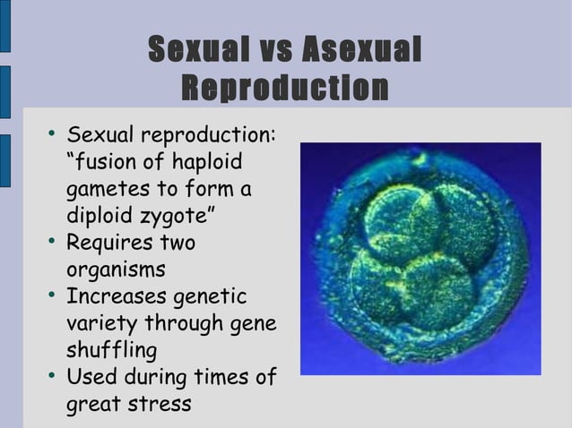Non-Mammalian Reproduction | PPT