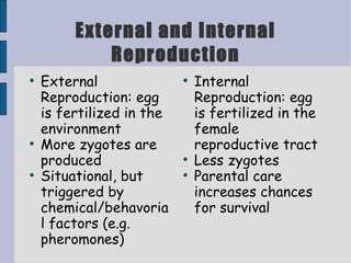 Non-Mammalian Reproduction | PPT