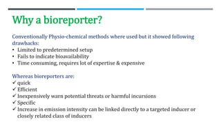 Bioreporters | PPTX