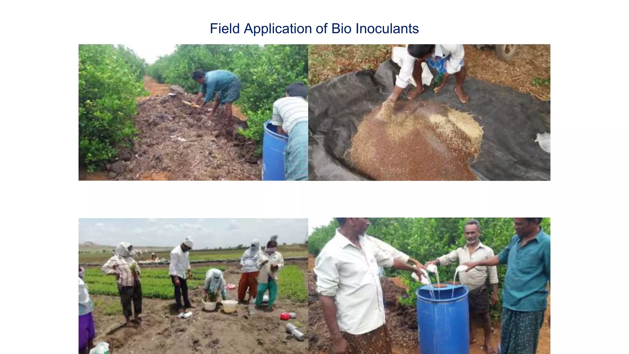 Bio Resource Centres | PPTX