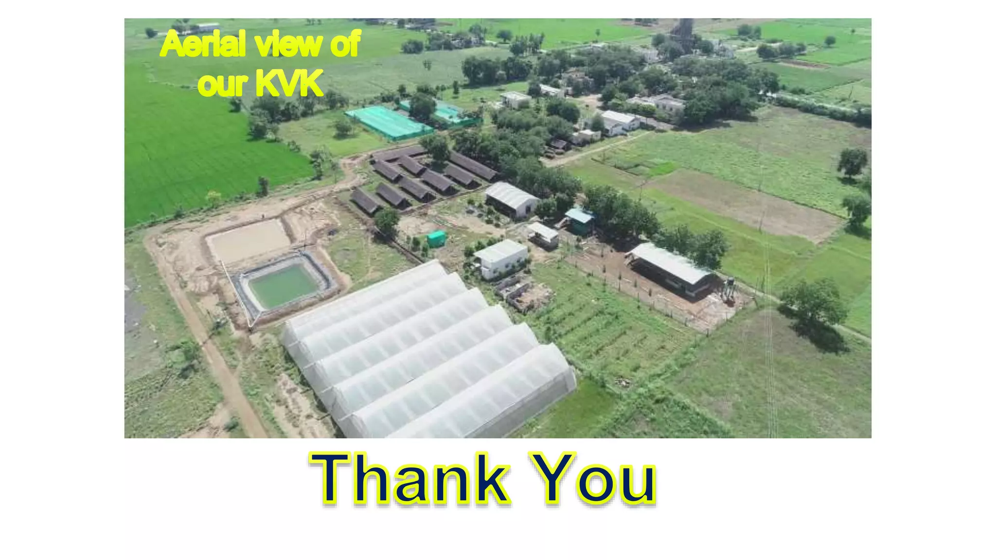 Bio Resource Centres | PPTX