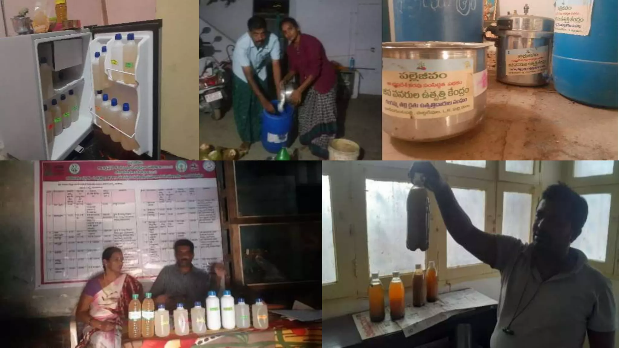 Bio Resource Centres | PPTX