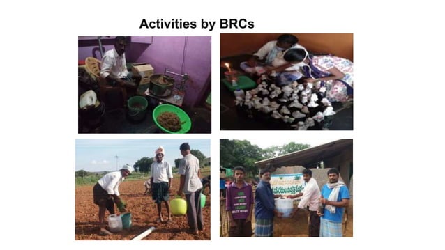 Bio Resource Centres | PPTX