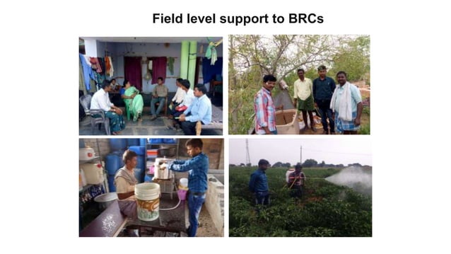 Bio Resource Centres | PPTX