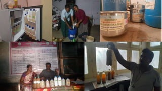 Bio Resource Centres | PPTX