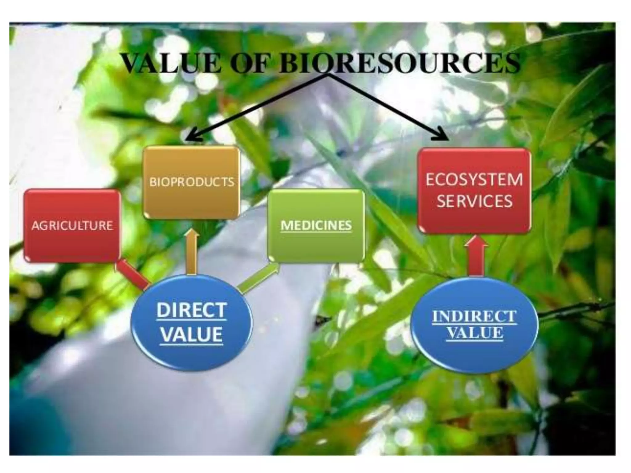 Bioresources and uses of biodiversity | PPTX