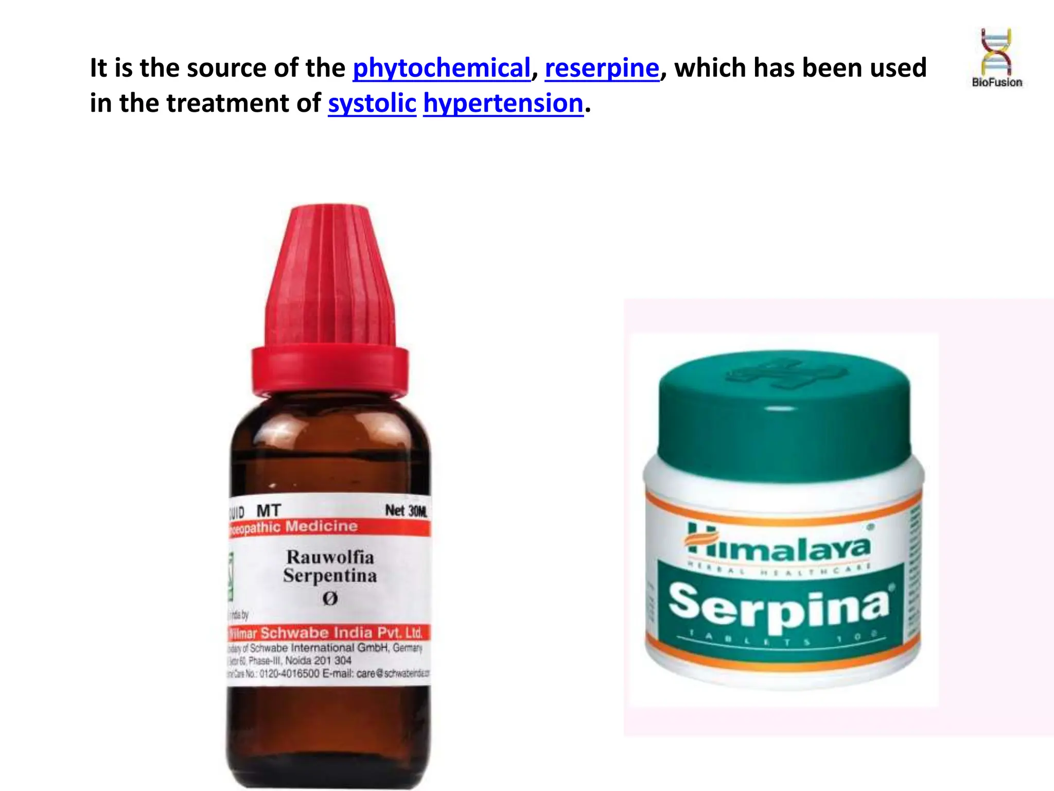 BIORESOURCES OF ASSAM CLASS 12 BIOLOGY.pptx