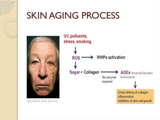 Skin aging process and his prevention by Biorevitalization | PPTX
