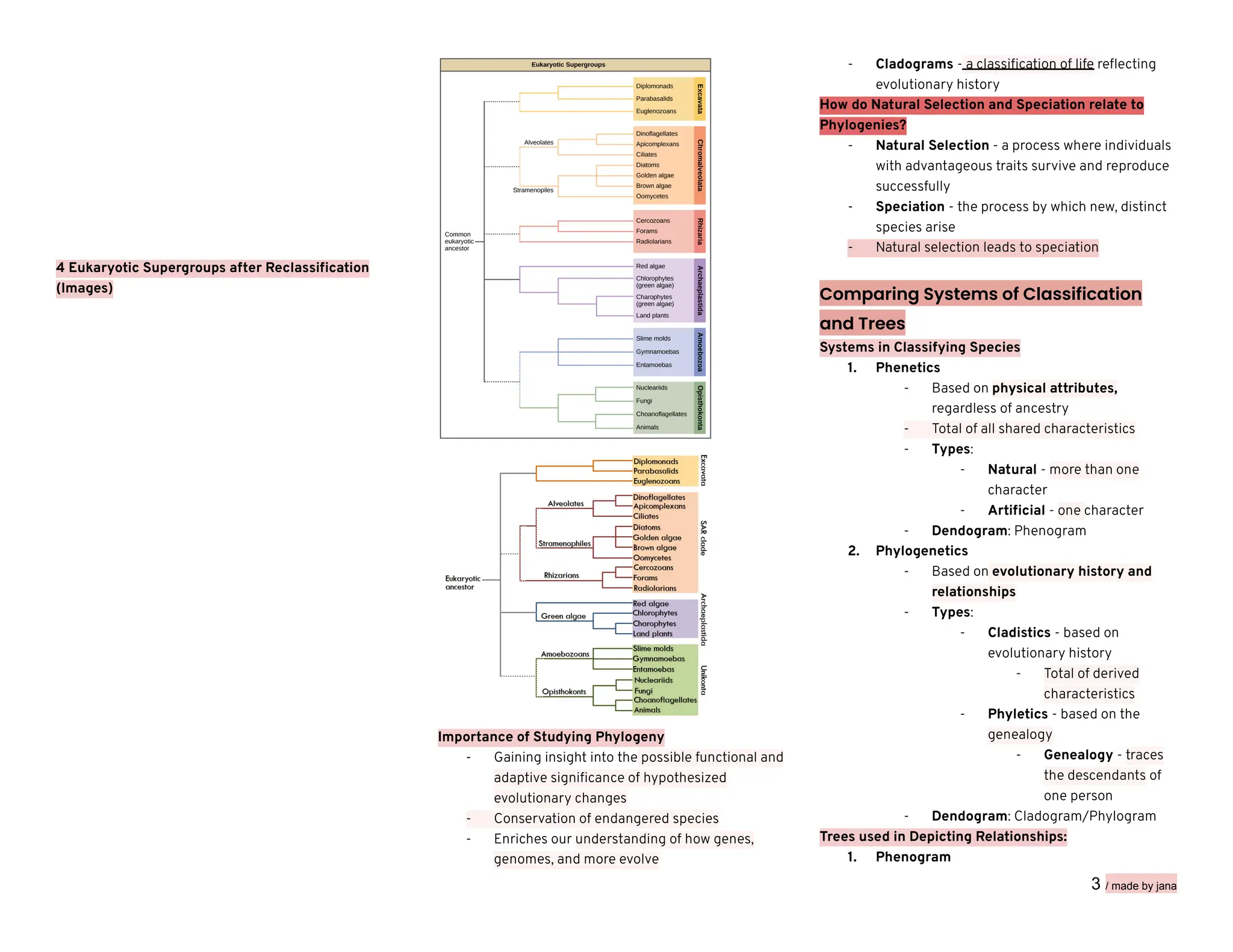 BIOLOGY 1 REVIEWER - EVOLUTION TO GENETIC INFORMATION.pdf