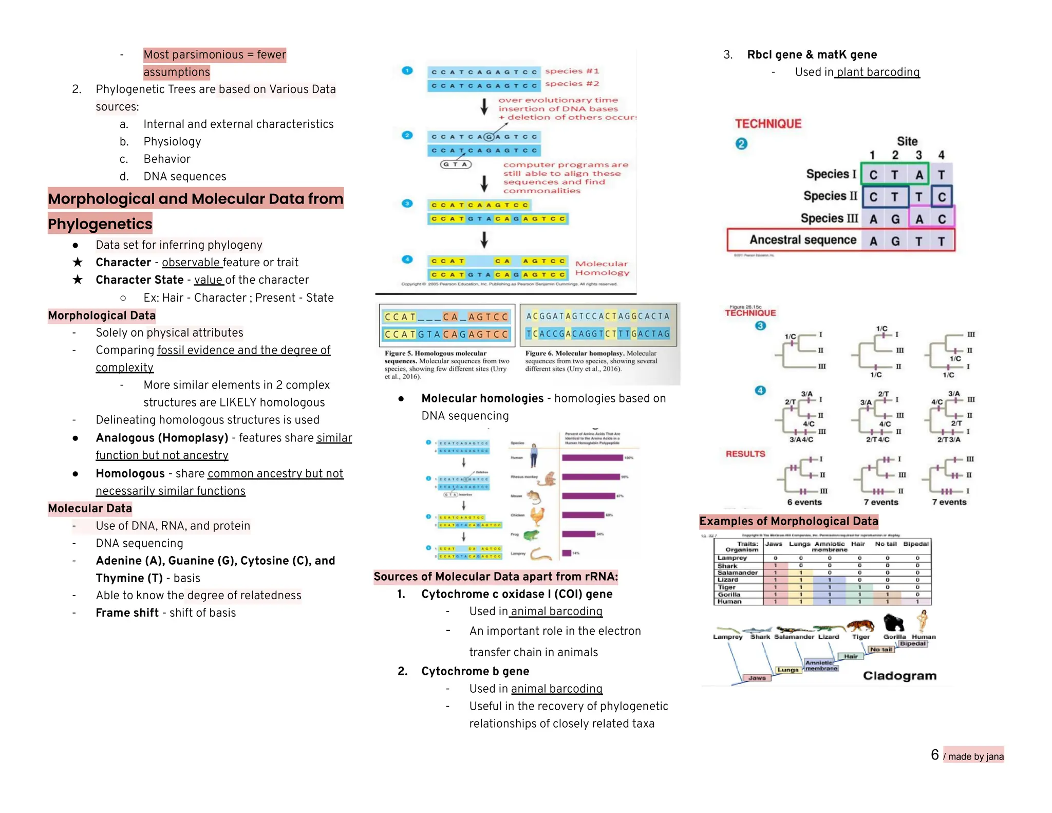 BIOLOGY 1 REVIEWER - EVOLUTION TO GENETIC INFORMATION.pdf