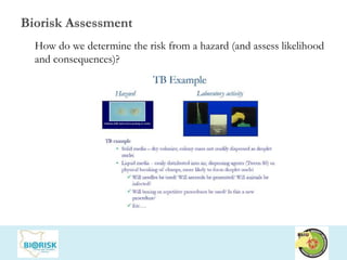 Biorisk Management at health facility.pptx