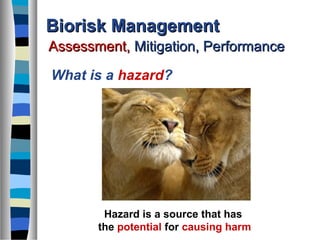 Basic Biorisk Management for BAI | PPT
