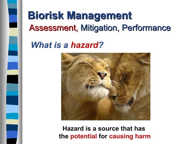 Basic Biorisk Management for BAI | PPT