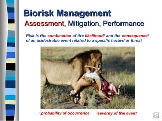 Basic Biorisk Management for BAI | PPT