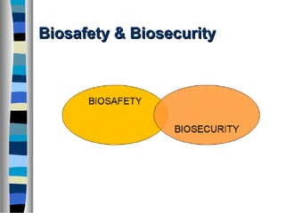 Basic Biorisk Management for BAI | PPT