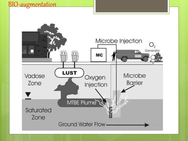 Bioremediation, principle and types | PPTX | Gardening | Home & Garden
