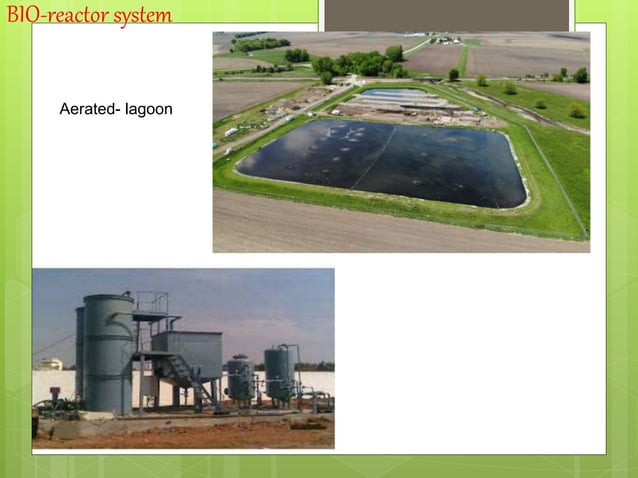 Bioremediation, principle and types | PPTX | Gardening | Home & Garden