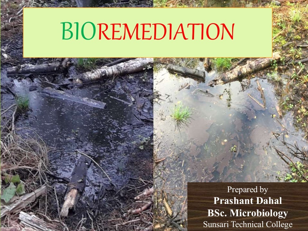 Bioremediation, principle and types
