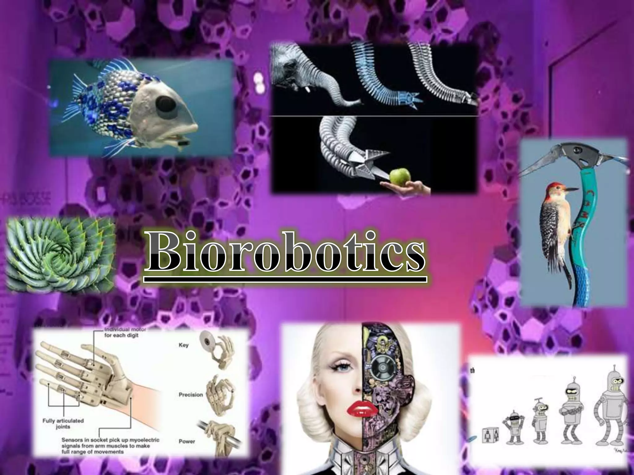 Biorobotics | PPTX