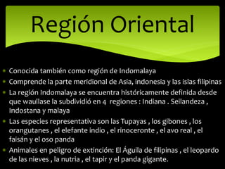 Biorregión oriental u indiomalaya | PPTX