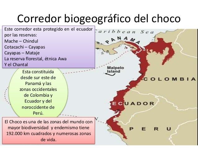 cienciasnaturaleswdg