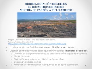 Biorremediación de botaderos estéril | PPTX