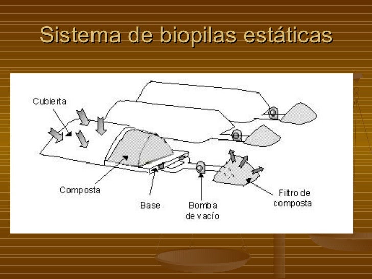 Biorremediacion De Suelos Agua Y Aire
