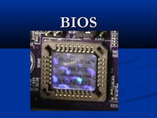 Bios | PPT