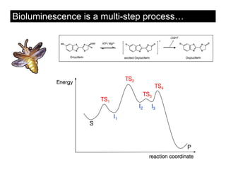 BIOS 203 Lecture 4: Ab initio molecular dynamics | PDF