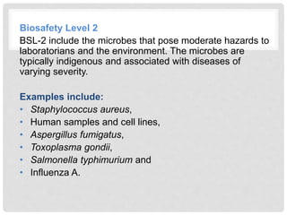 Biosafety | PPTX