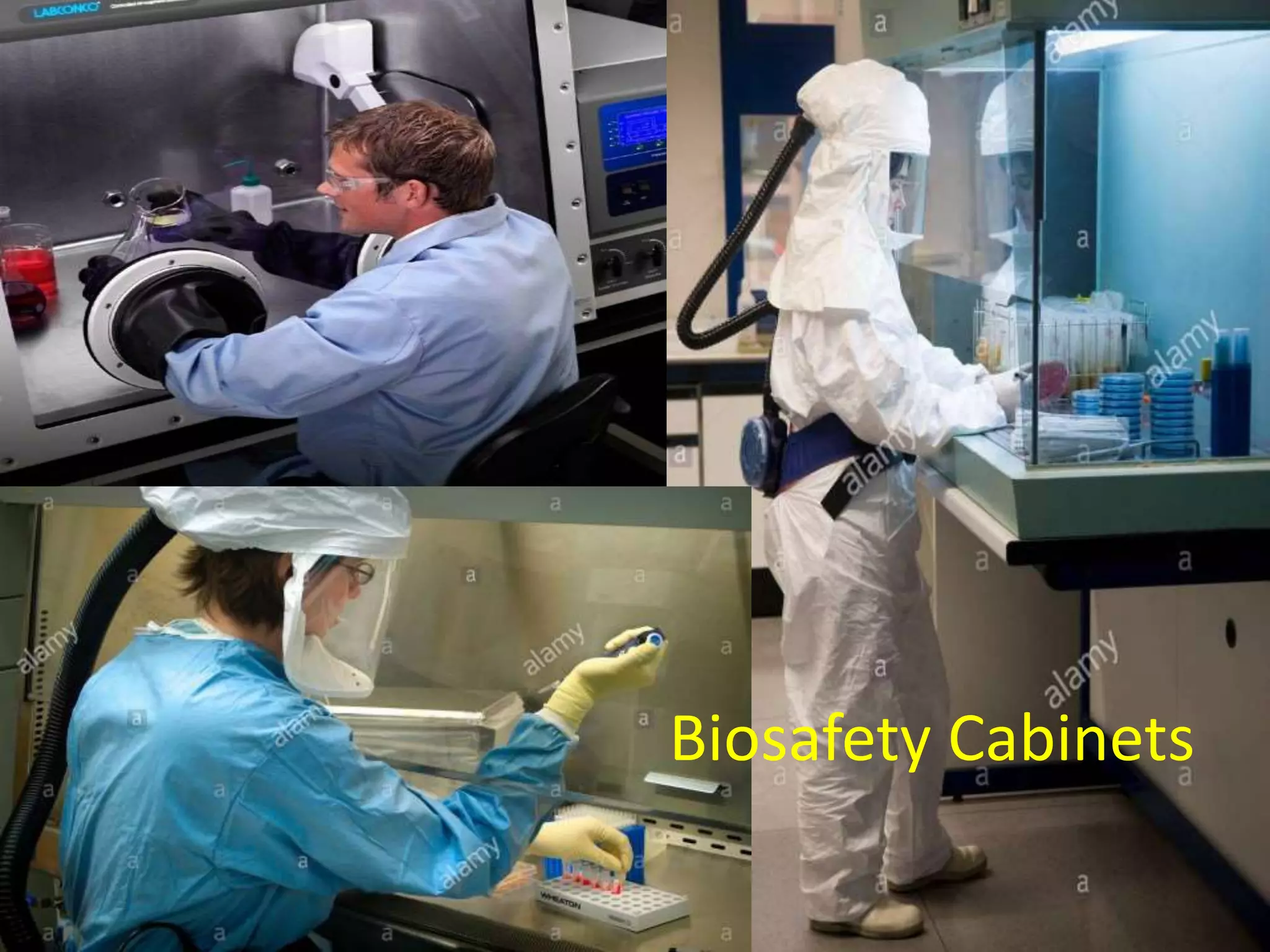 Biosafety | PPT | Free Download