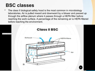 Biosafety-and-Biosecurity-in-Molbio.pptx