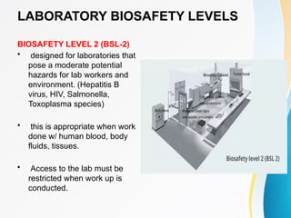 Biosafety-and-Biosecurity-in-Molbio.pptx